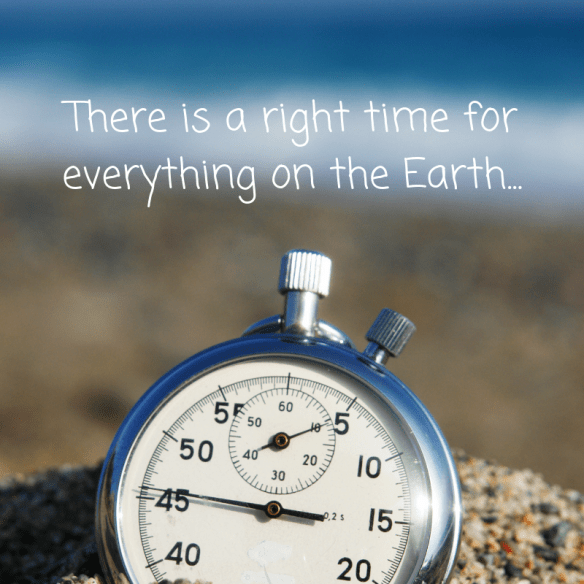 A Time for Everything | mittonmusings