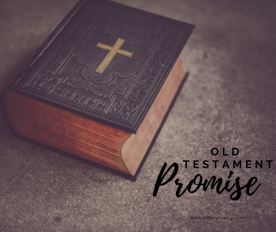 Old Testament Promise | mittonmusings