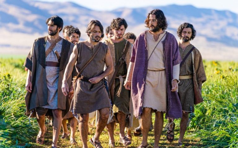 Pecking Order | mittonmusings