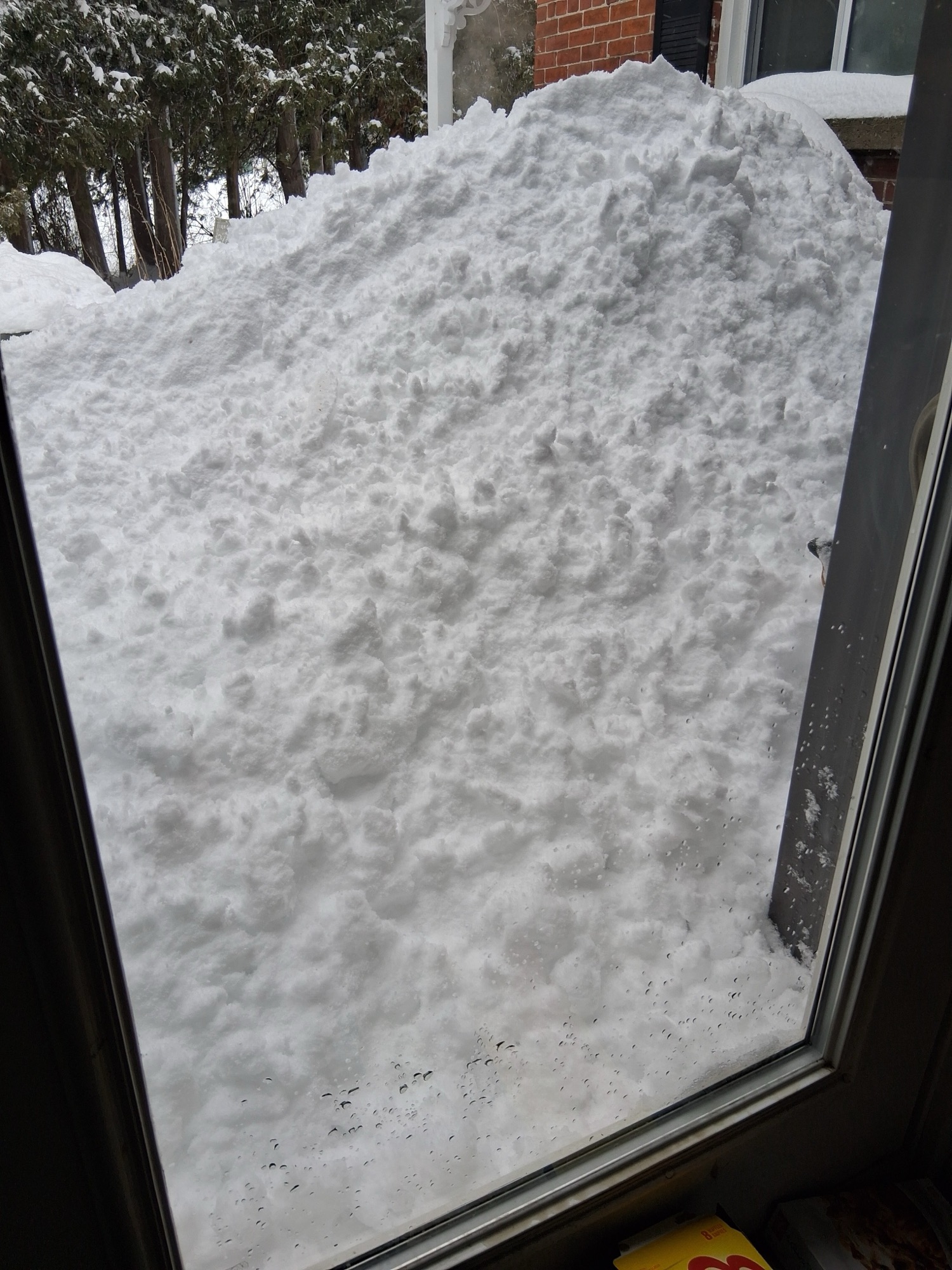 Winter Reflections: Finding Hope Beneath the Snow | mittonmusings