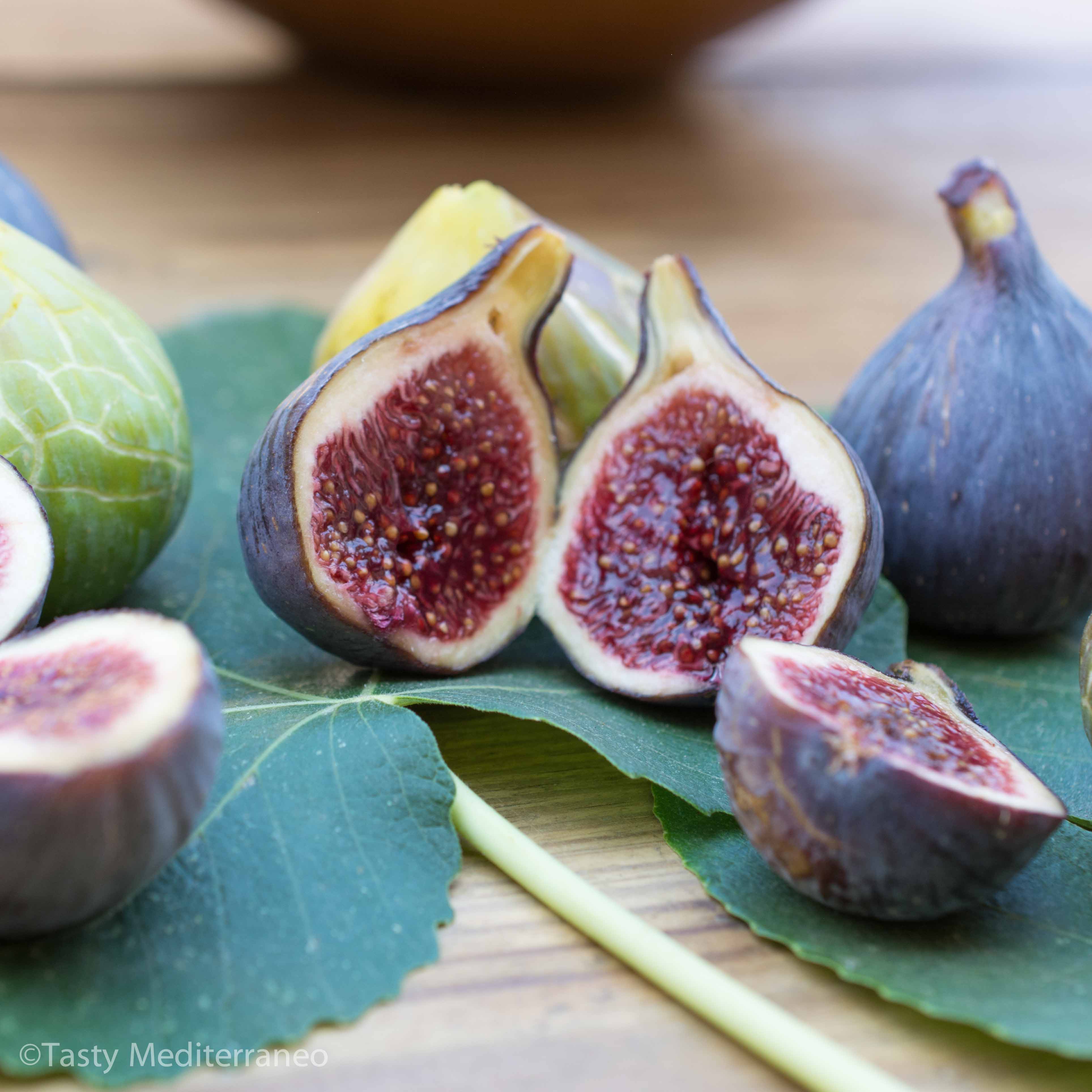 The Significance of Fig Trees and a little Spiritual Growth | mittonmusings